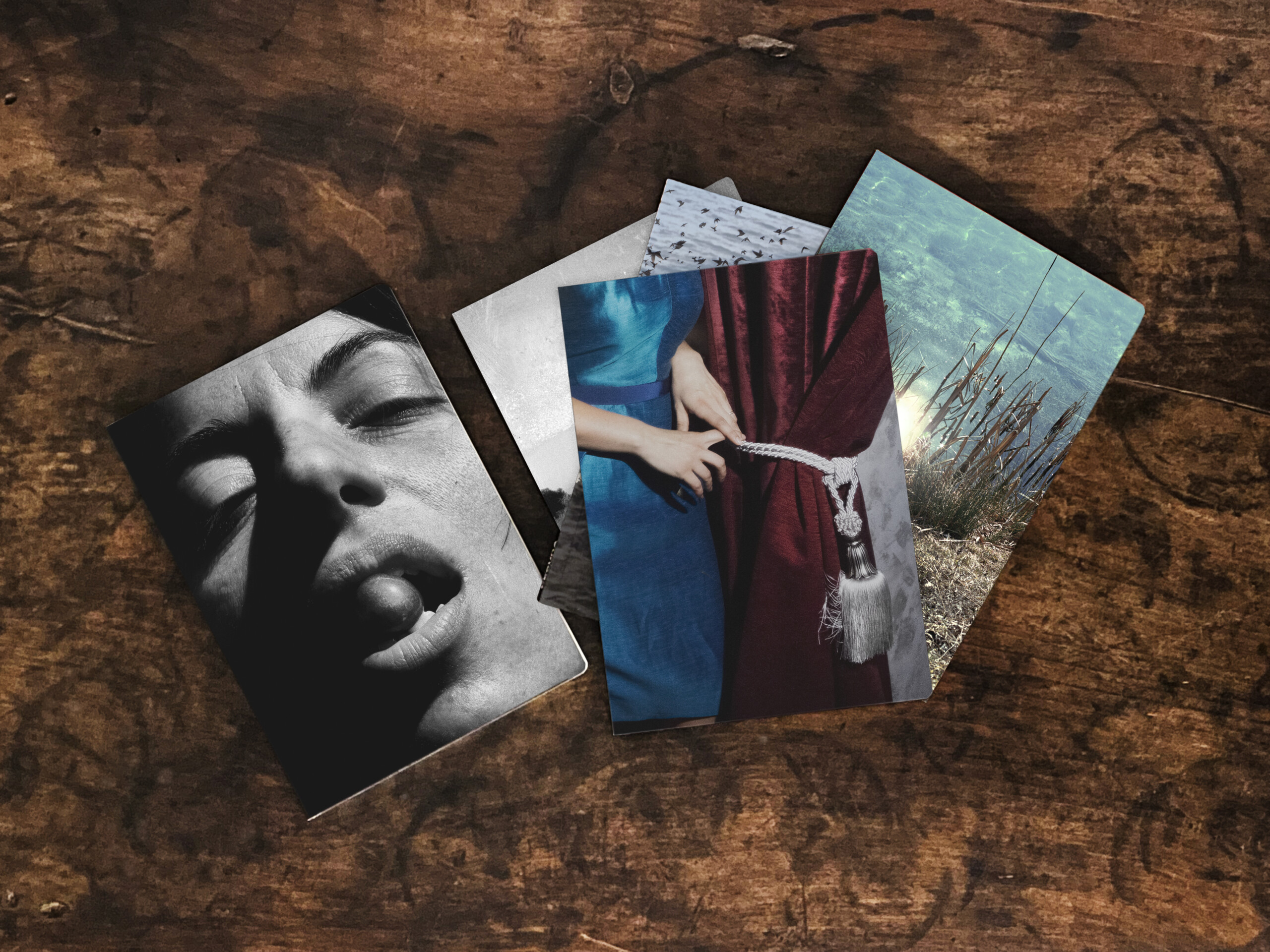 Notebook 02 • CESURA